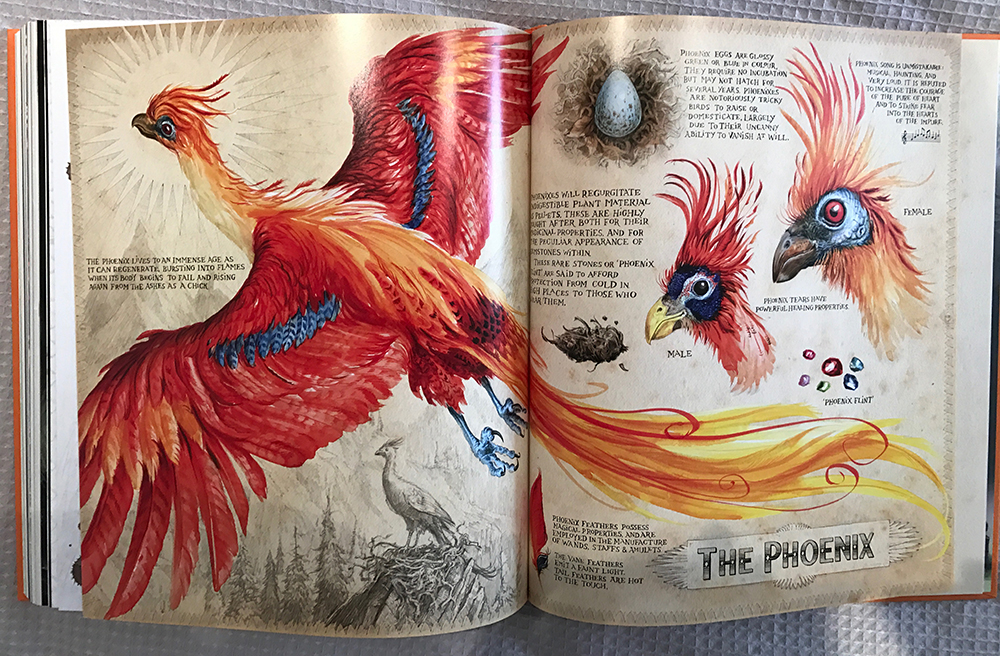 Harry Potter Phoenix